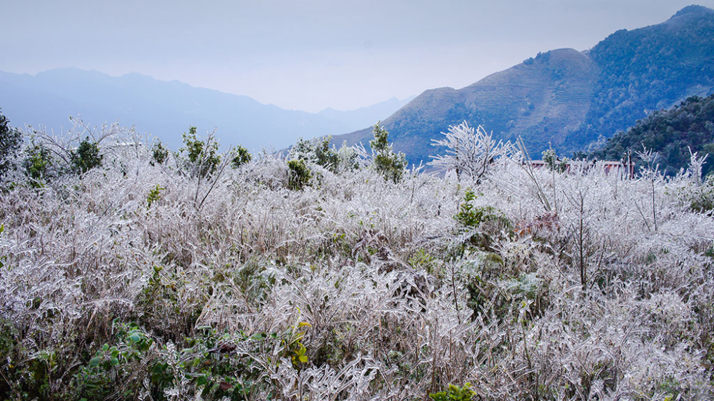 Top 4 Snow Watching Destinations in Vietnam That Attract Every Traveler ...